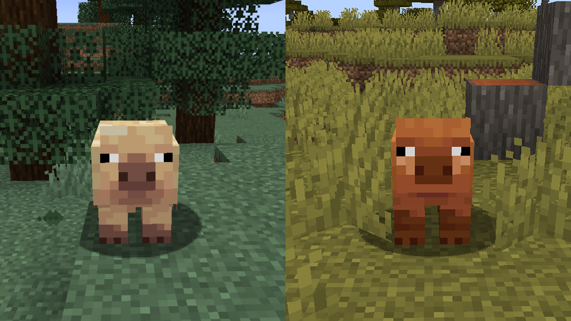 【マイクラ】【Ver1.21.5】Mob系アプデまとめ！新種のブタとウシ、オオカミの鳴き声追加やスポーンエッグの見た目変更など【Java版 ...